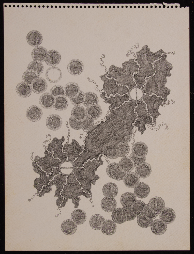 Untitled – Arthur B. Kennickell